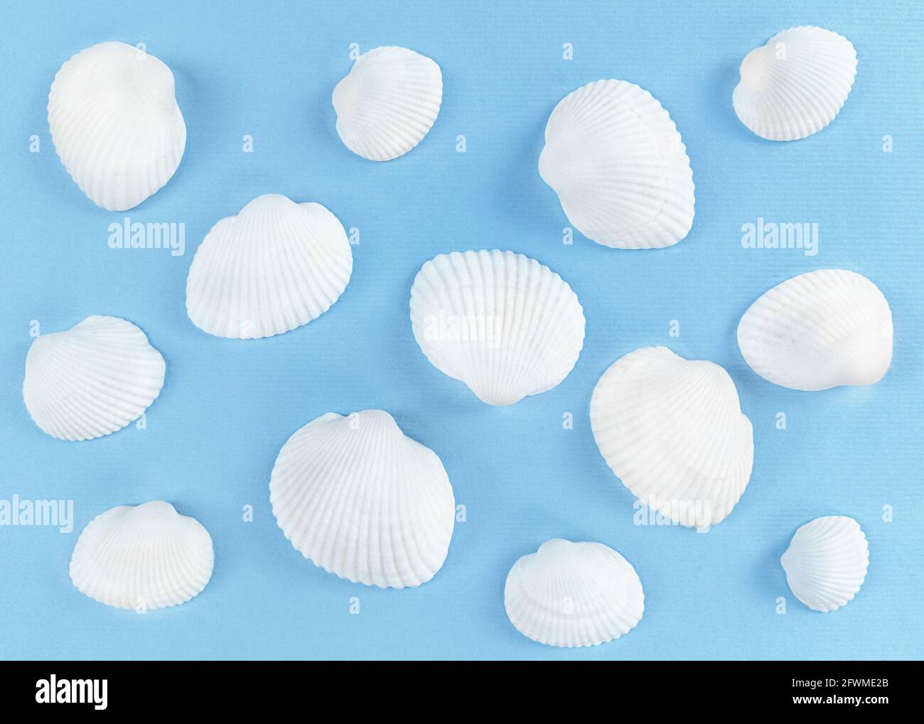 Flat lay composition seashells hi-res stock photography and images - Alamy