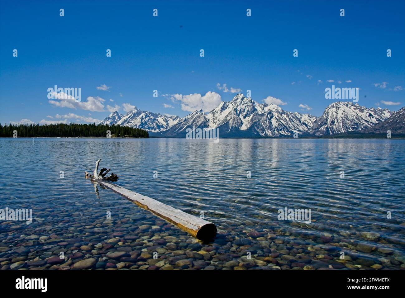 Floating log hi-res stock photography and images - Alamy