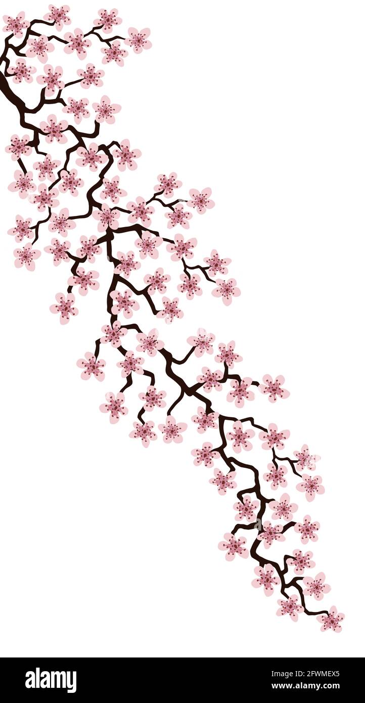 Vertical Floral greeting card with beautiful pink blossom flowers ...