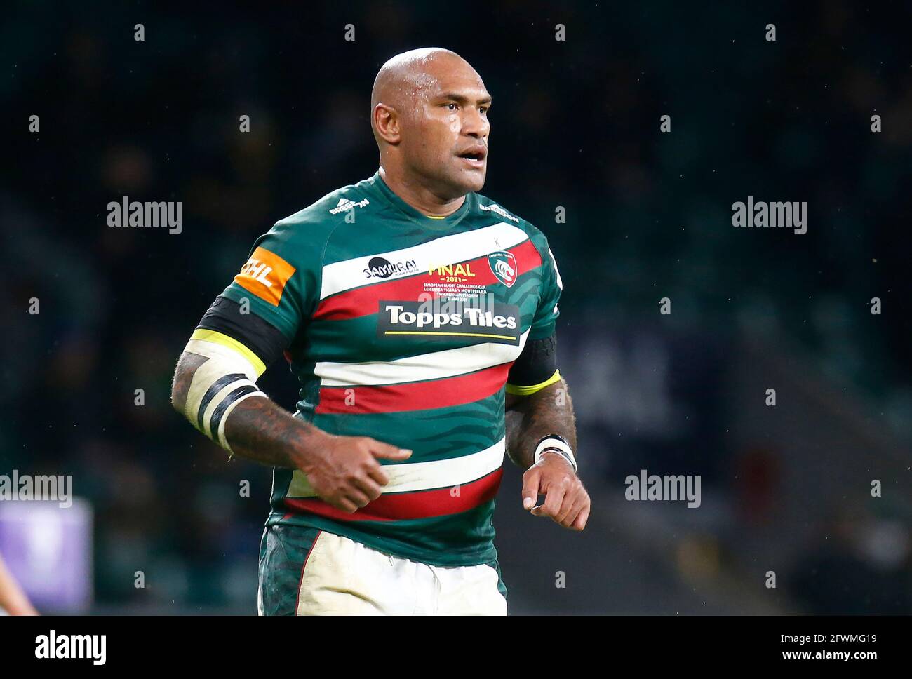 Nemani nadolo tigers final hi-res stock photography and images - Alamy