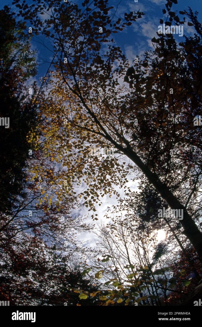 Prospettiva fisheye hi-res stock photography and images - Alamy