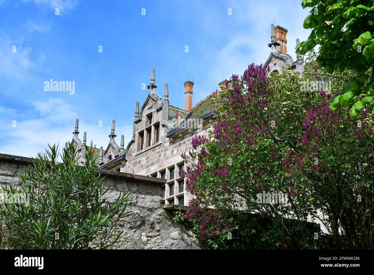 Altenstein Castle Park in Thuringia Stock Photo - Alamy