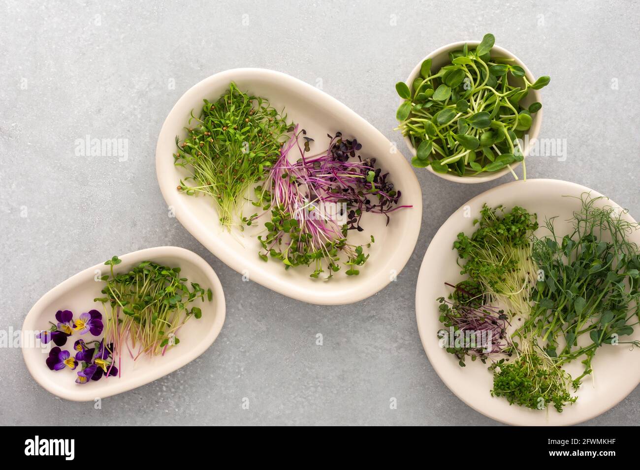 Different types of useful microgreens on plates, top view Stock Photo ...