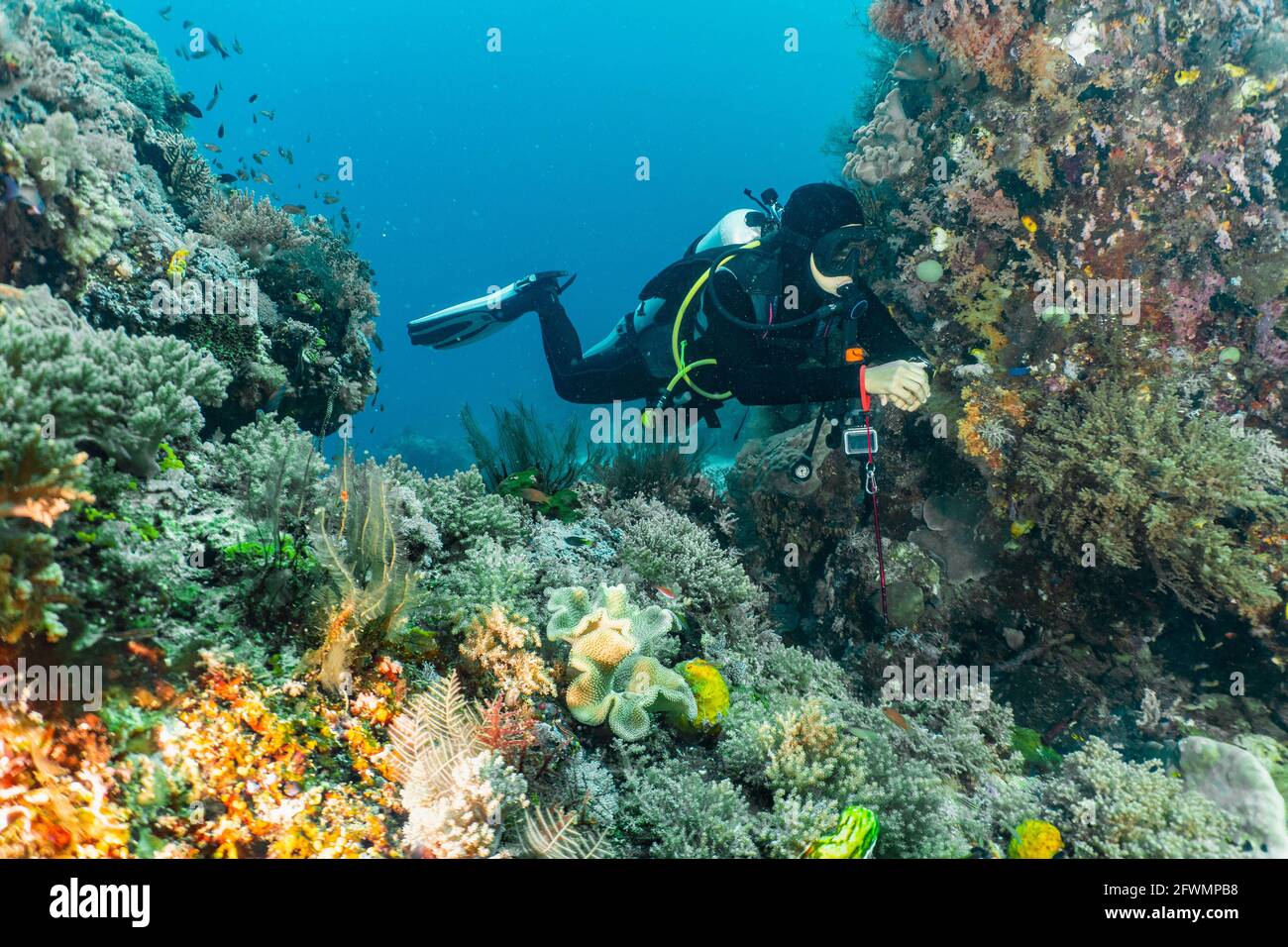 woman exploring the ocean at Raja Ampat / Indonesia Stock Photo - Alamy