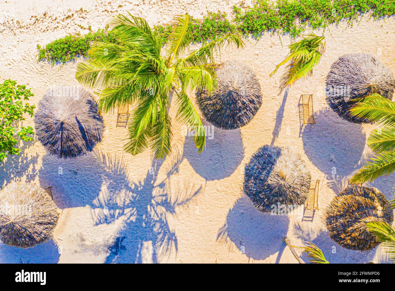 Aerial view of palms on the sandy beach of Indian Ocean at sunny Stock ...