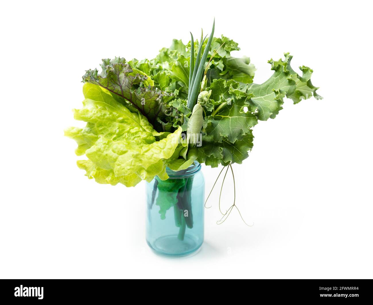 Mixed lettuce varieties Cut Out Stock Images & Pictures - Alamy