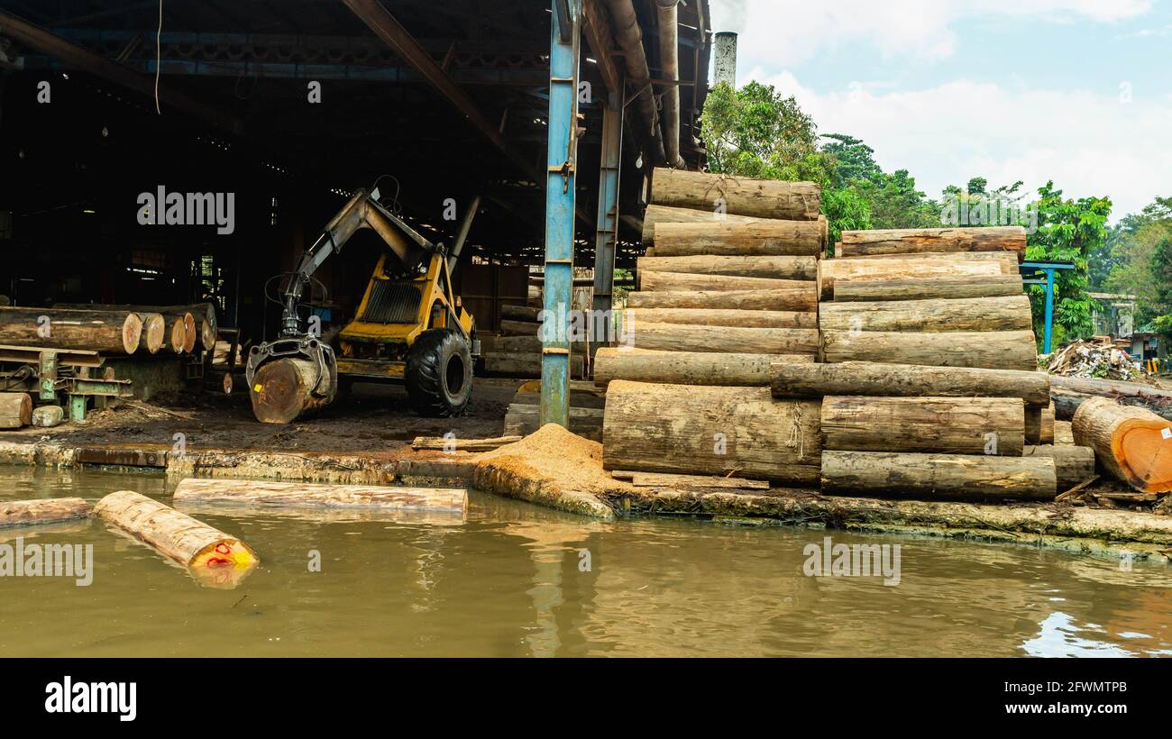 log of timber being processed as the raw material for plywood ...