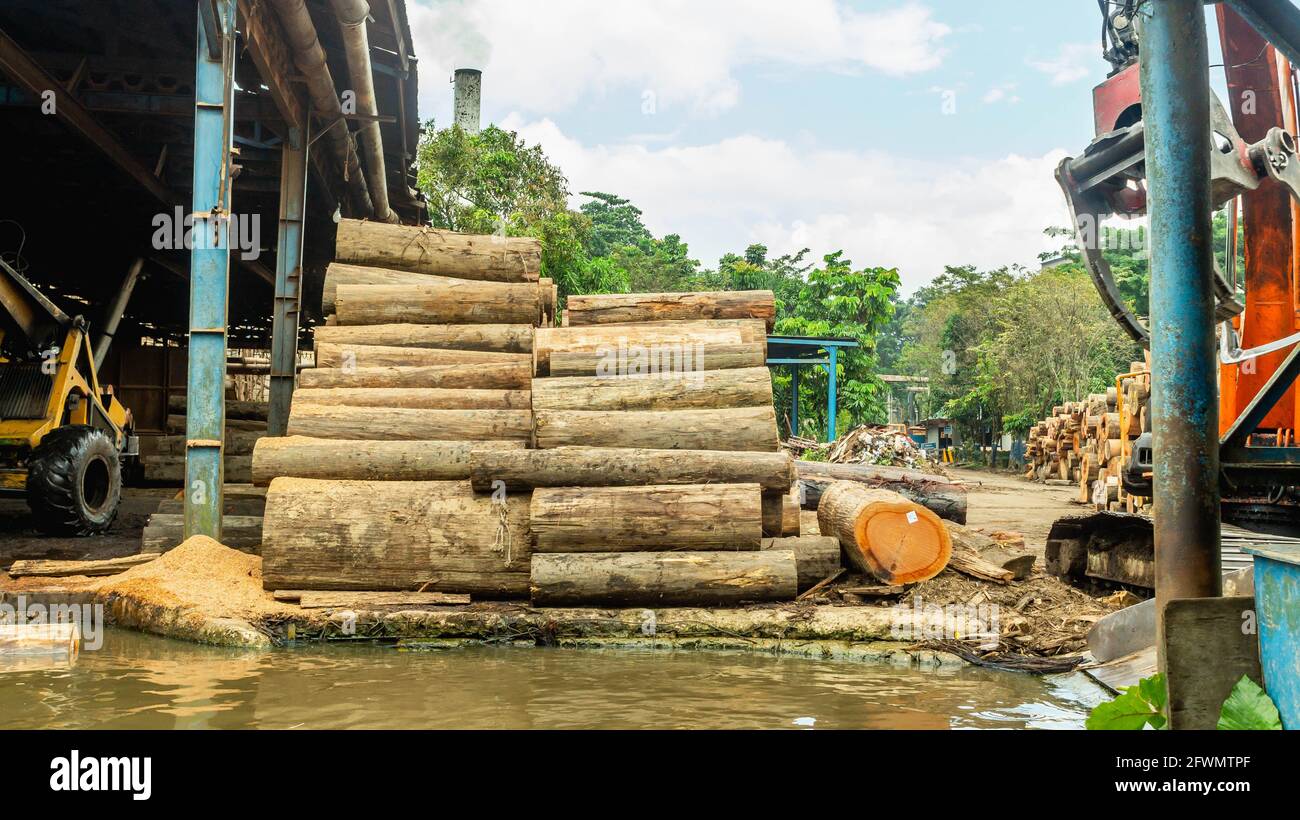 log of timber being processed as the raw material for plywood ...