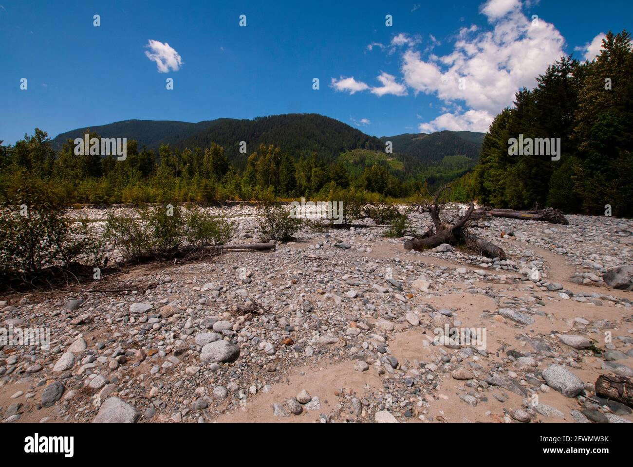 Driftwood at Norrish Creek in Dewdney, Mission, British Columbia ...