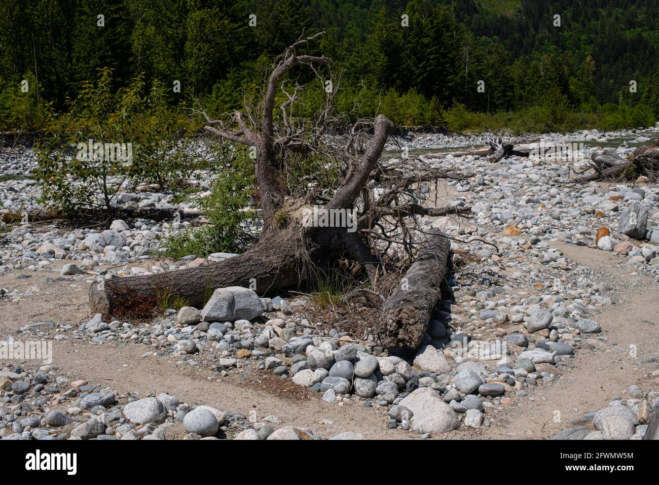 North american creekbed hi-res stock photography and images - Alamy