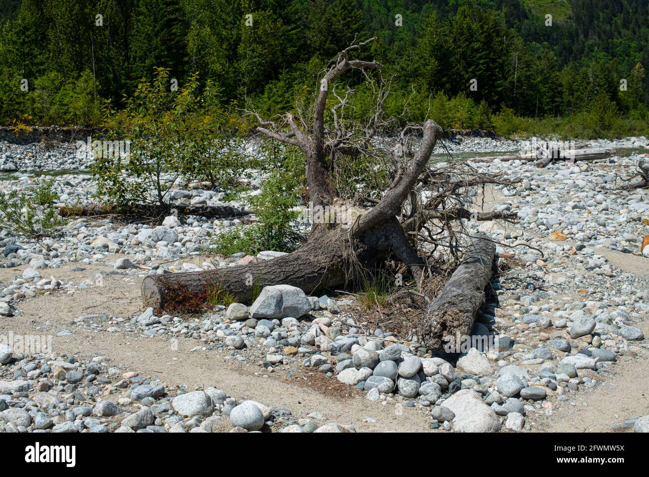 North american creekbed hi-res stock photography and images - Alamy
