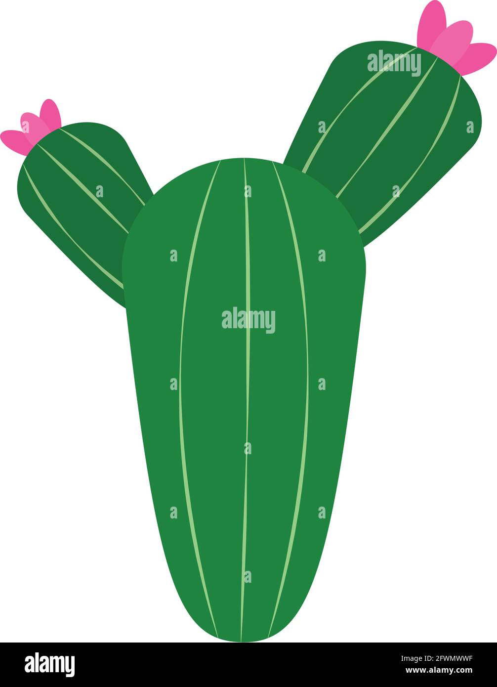 Tropical mexican cacti cactus pink Stock Vector Images - Alamy