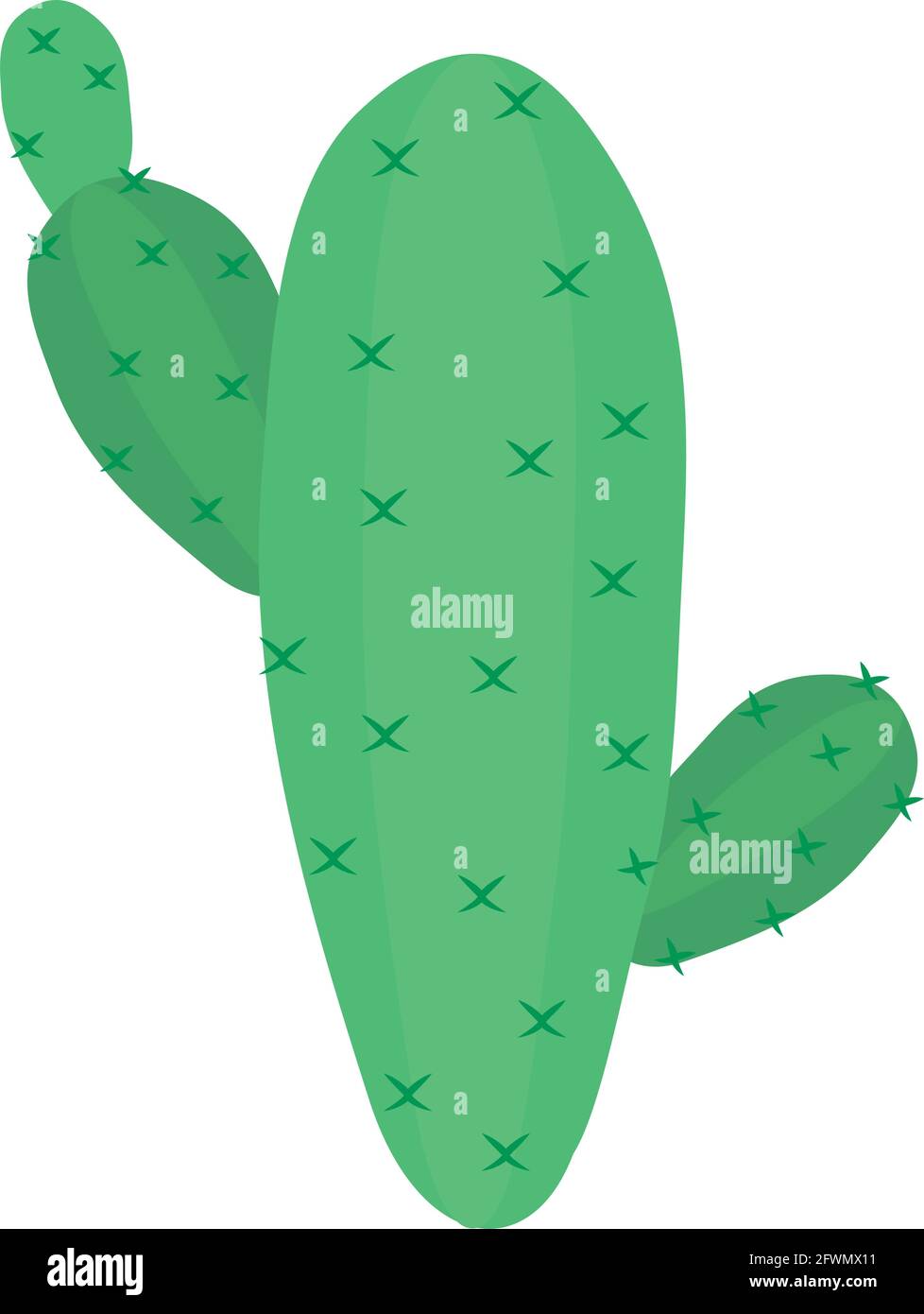 pine cactus on white background Stock Vector Image & Art - Alamy