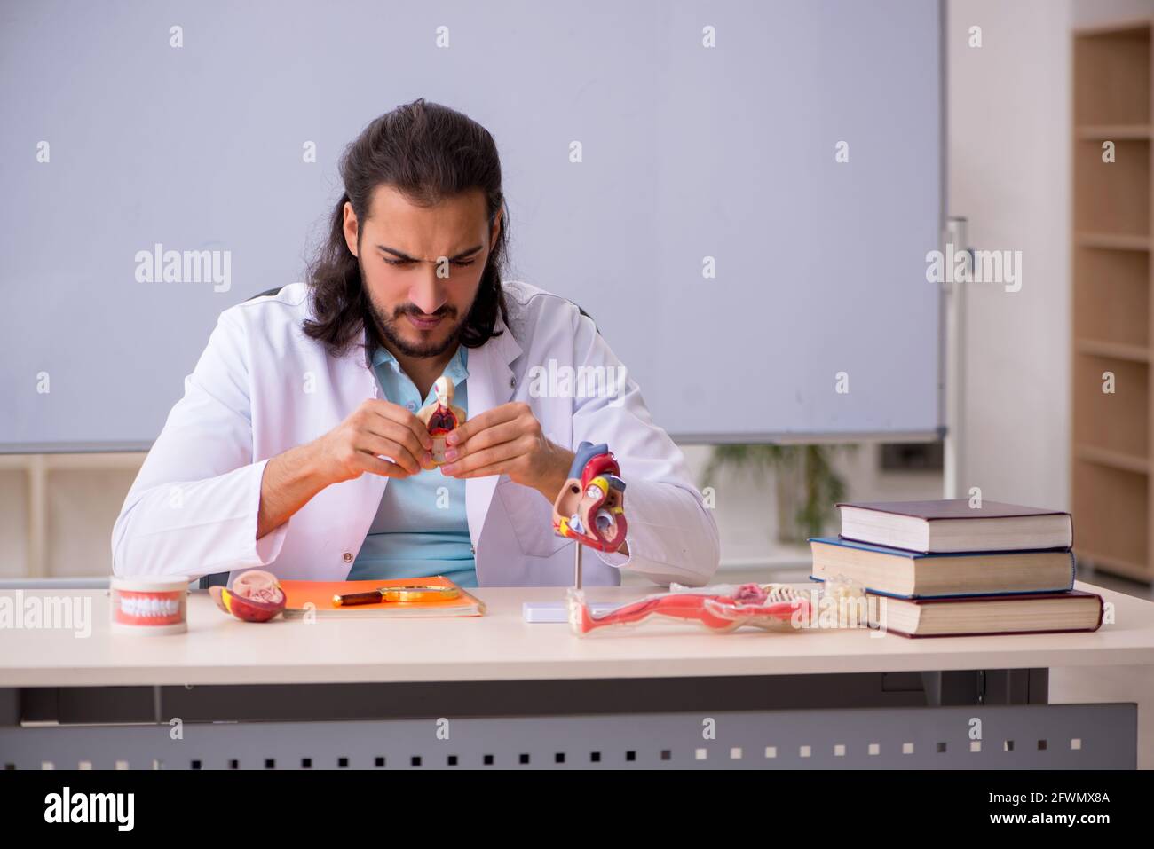 Young student studying human anatomy Stock Photo - Alamy