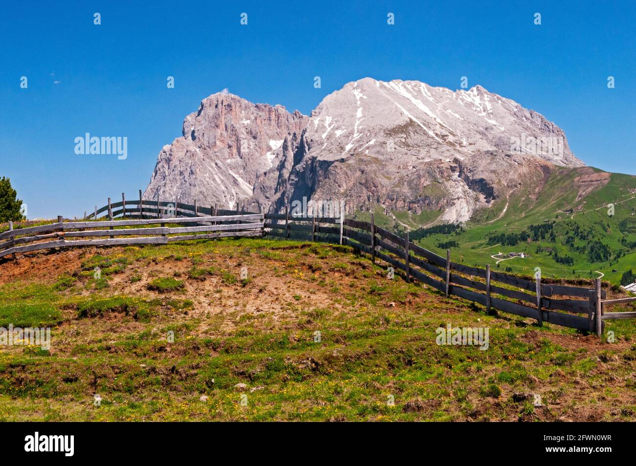 Sasso Lungo and Sasso Piatto, Alpe di Siusi, Alto Adige, Italy Stock ...