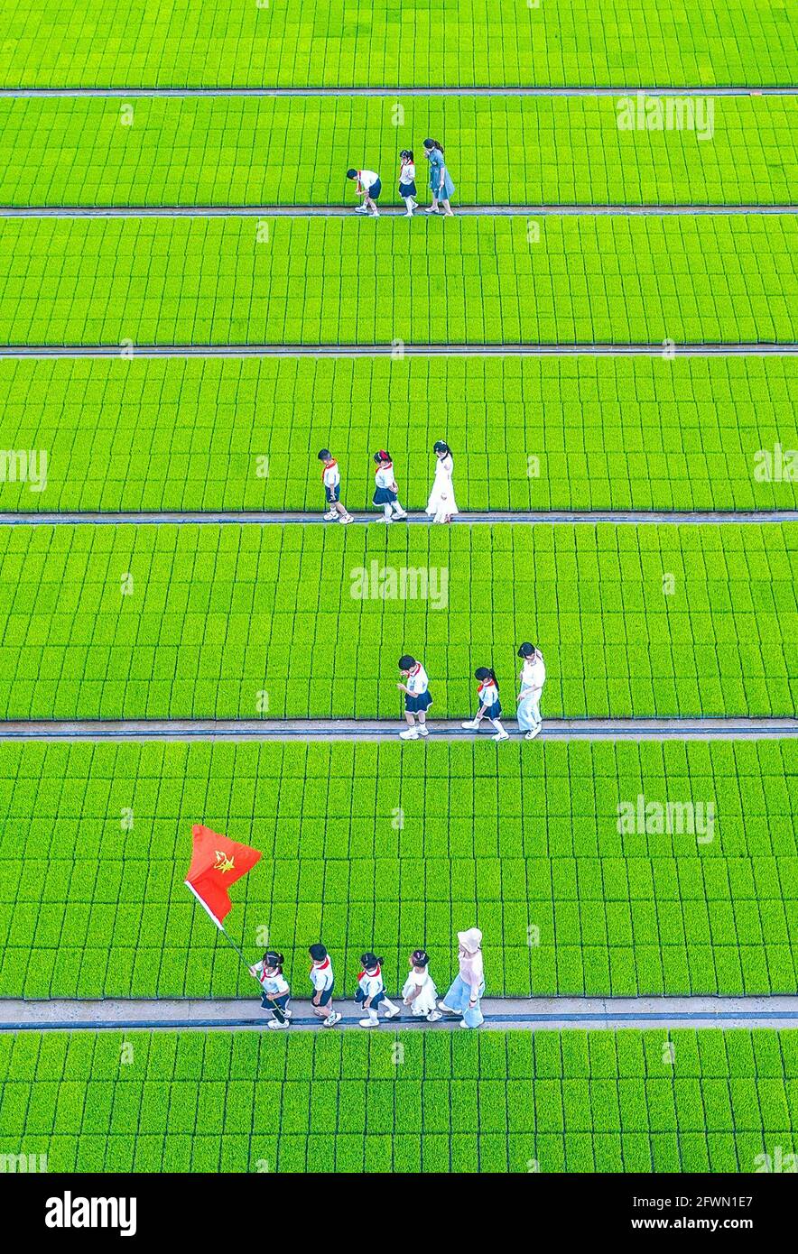 SUQIAN, CHINA - MAY 23, 2021 - Students experience farming activities ...