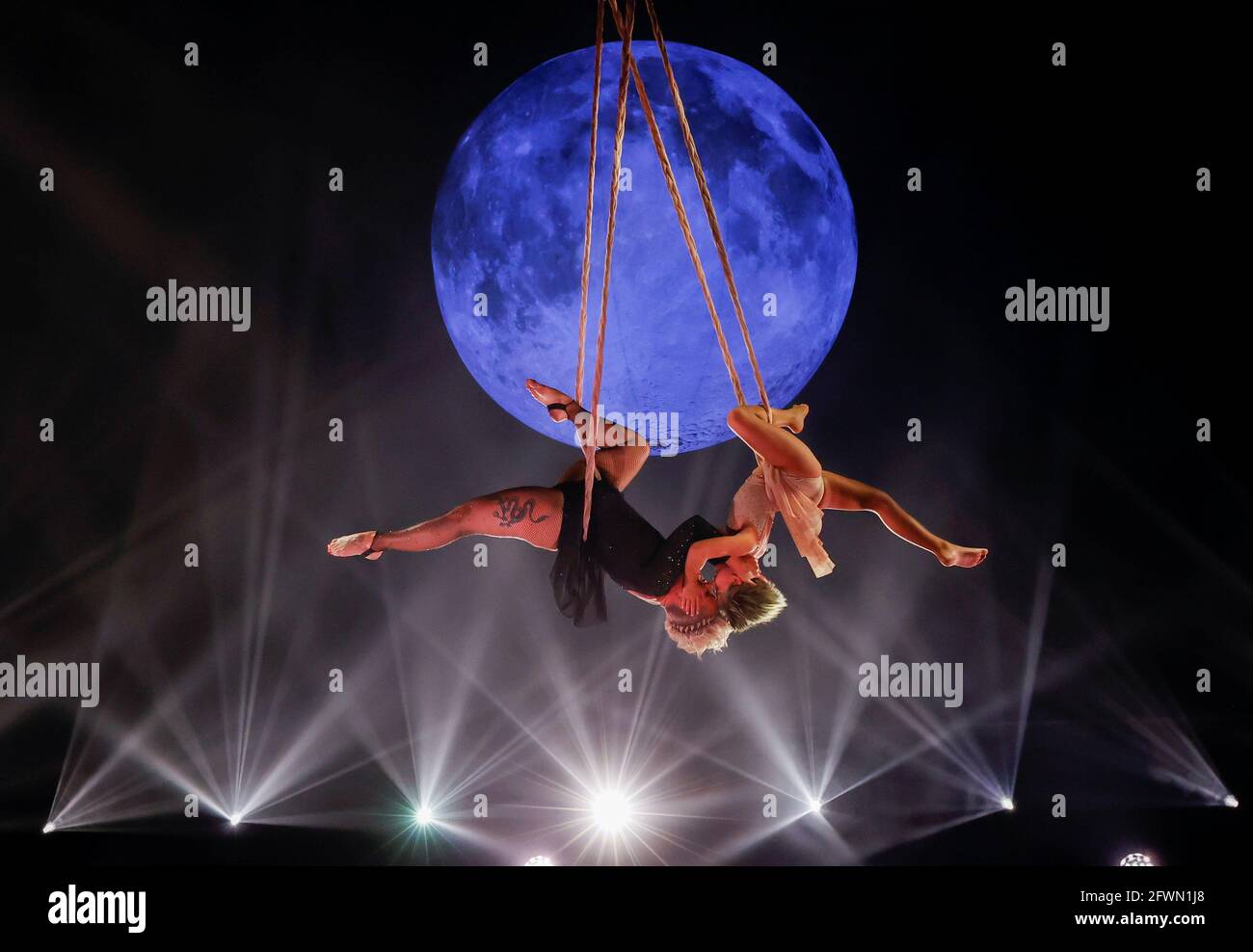 Pink willow singer hi-res stock photography and images - Alamy