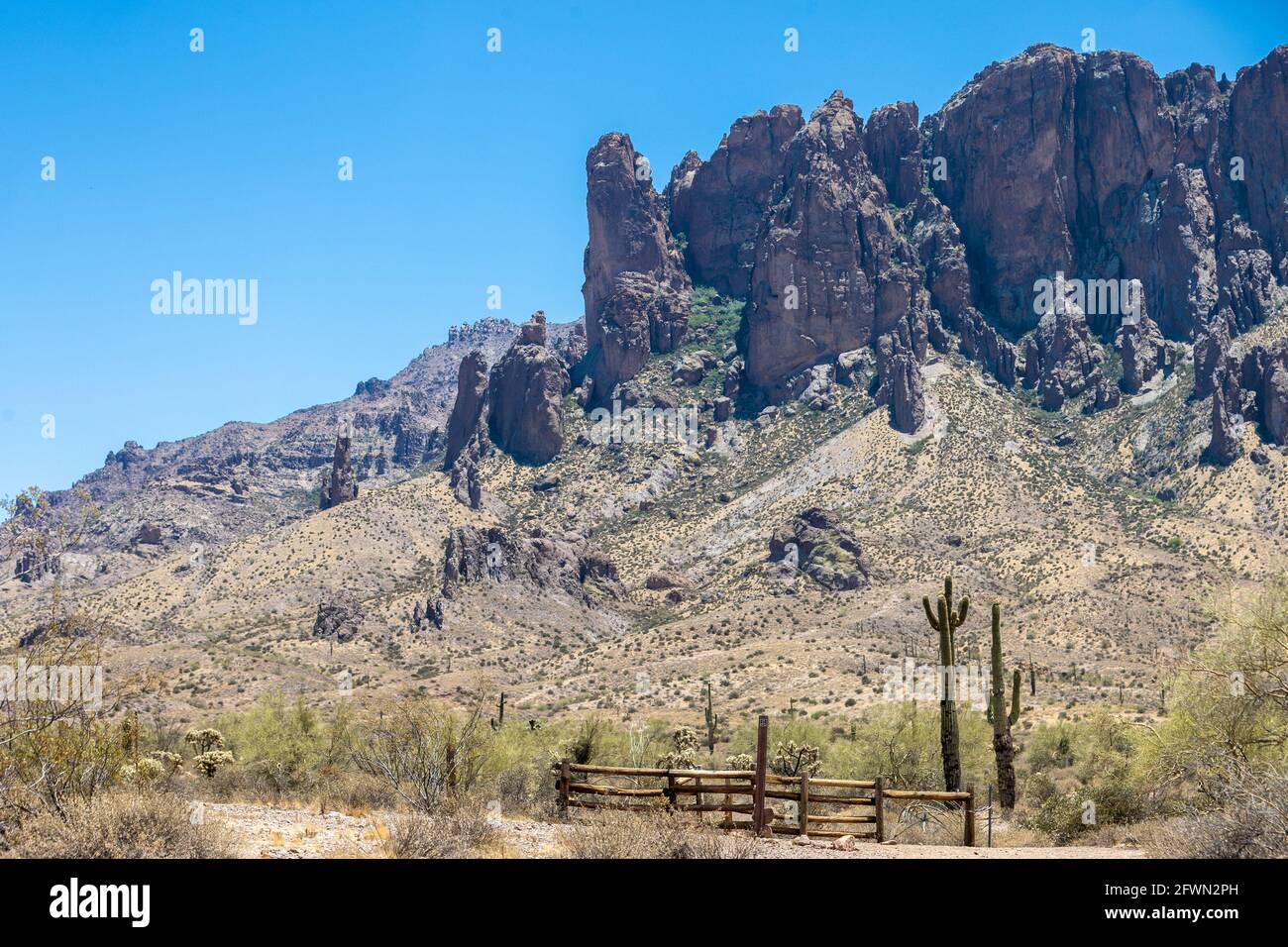 Dry desert cactus landscape in Arizona USA Stock Photo - Alamy