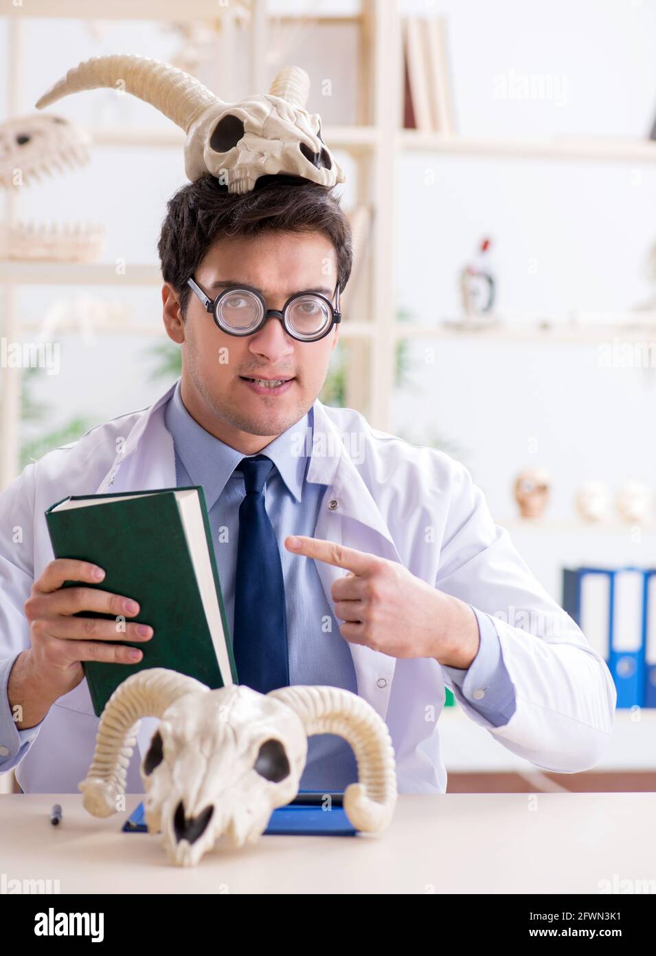 The funny crazy professor studying animal skeletons Stock Photo - Alamy