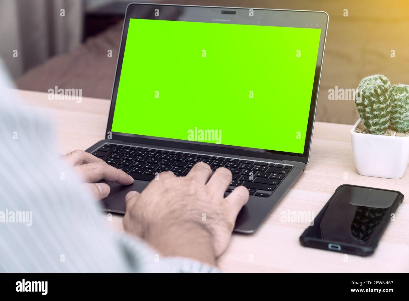 Young businessman working on laptop in home, rear view green screen of ...