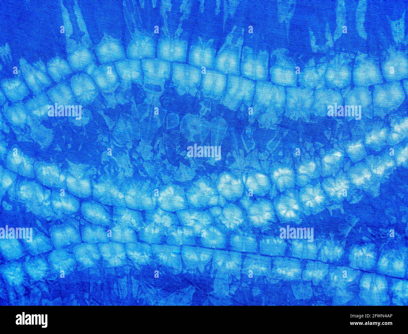 Indigo blue fabric tie dye pattern background. Indigo-Dyed fabric ...