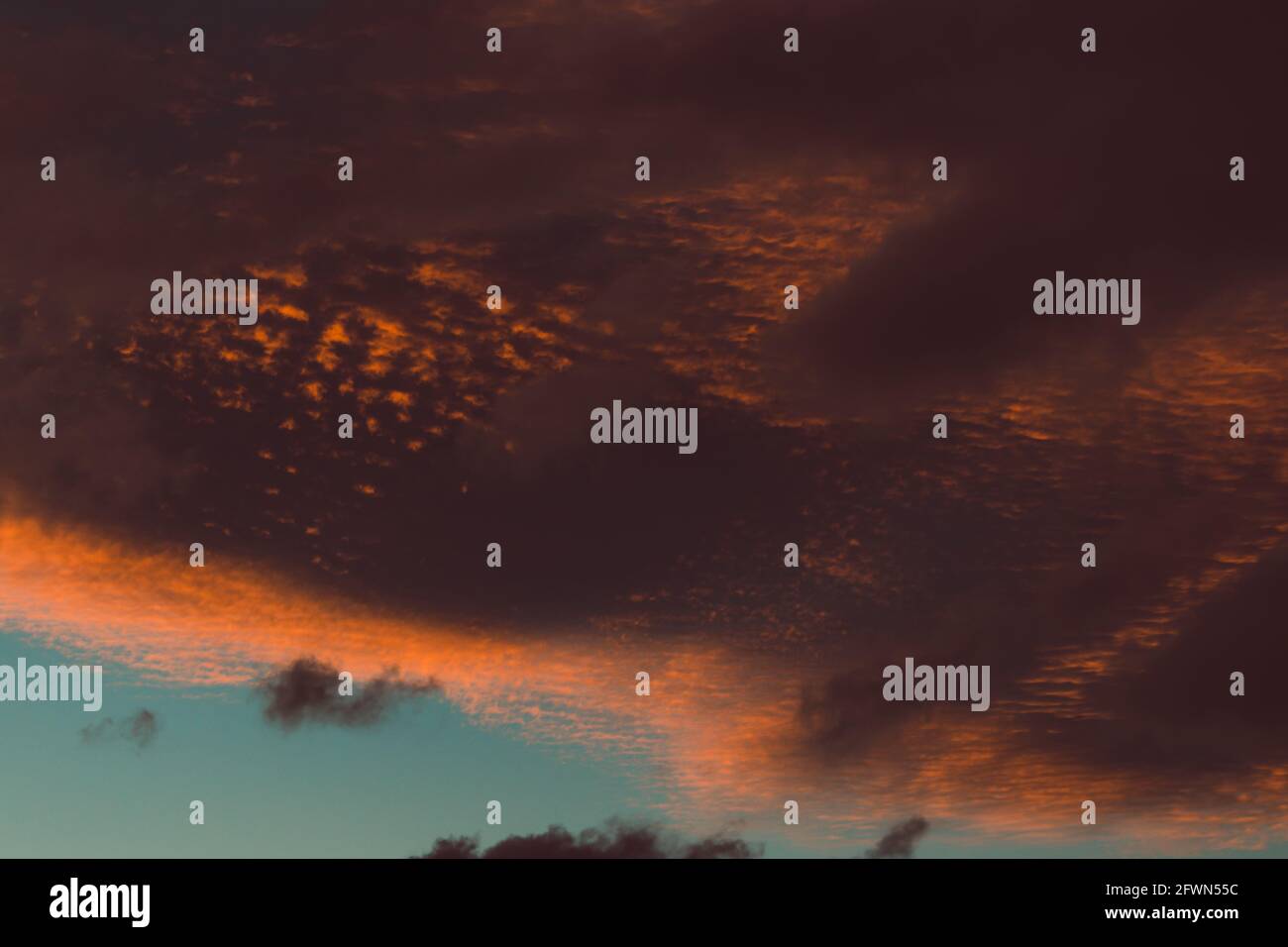 beautiful intense sunset sky with pink and golden tones shot in ...