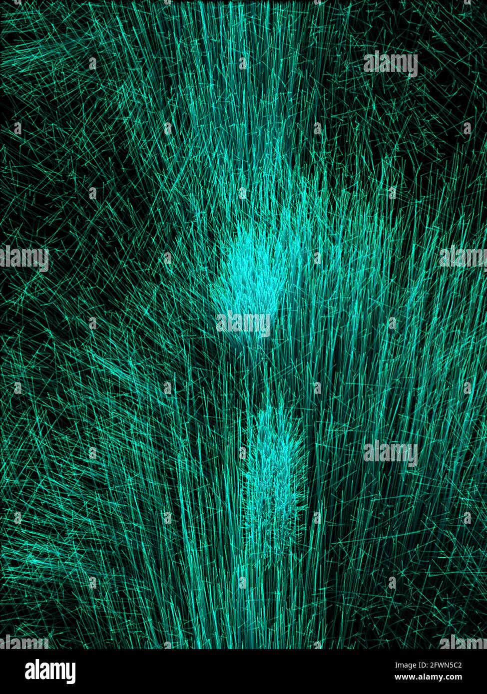 looks like fireworks an explosion of color Stock Photo - Alamy