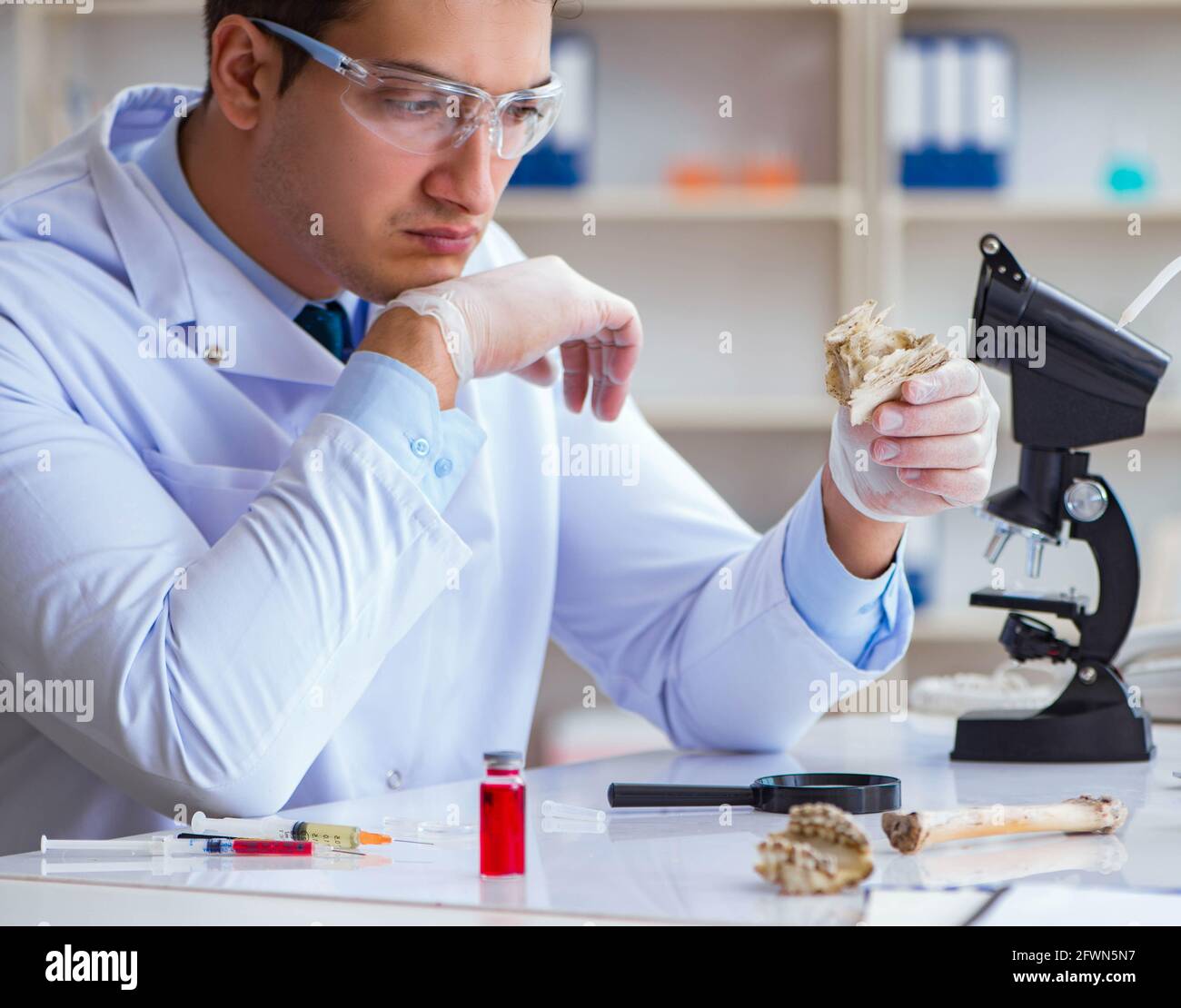 The paleontologist looking at extinct animal bone Stock Photo - Alamy