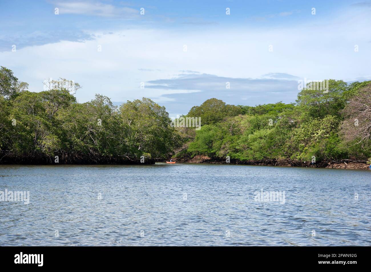 Touring a tropical river in Tamarindo, Costa Rica Stock Photo - Alamy