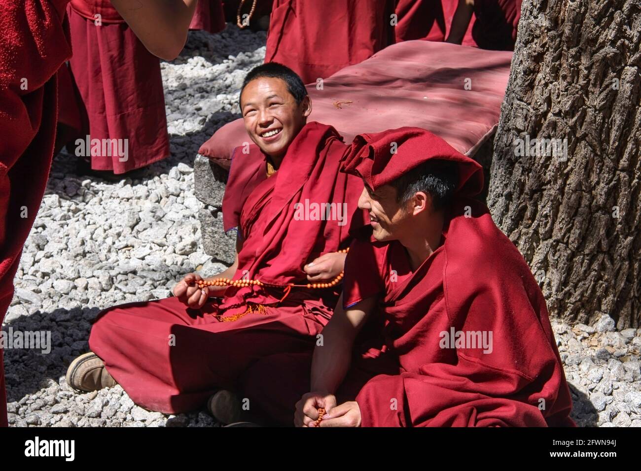 Buddhist monks in training in Lhasa Tibet Stock Photo - Alamy