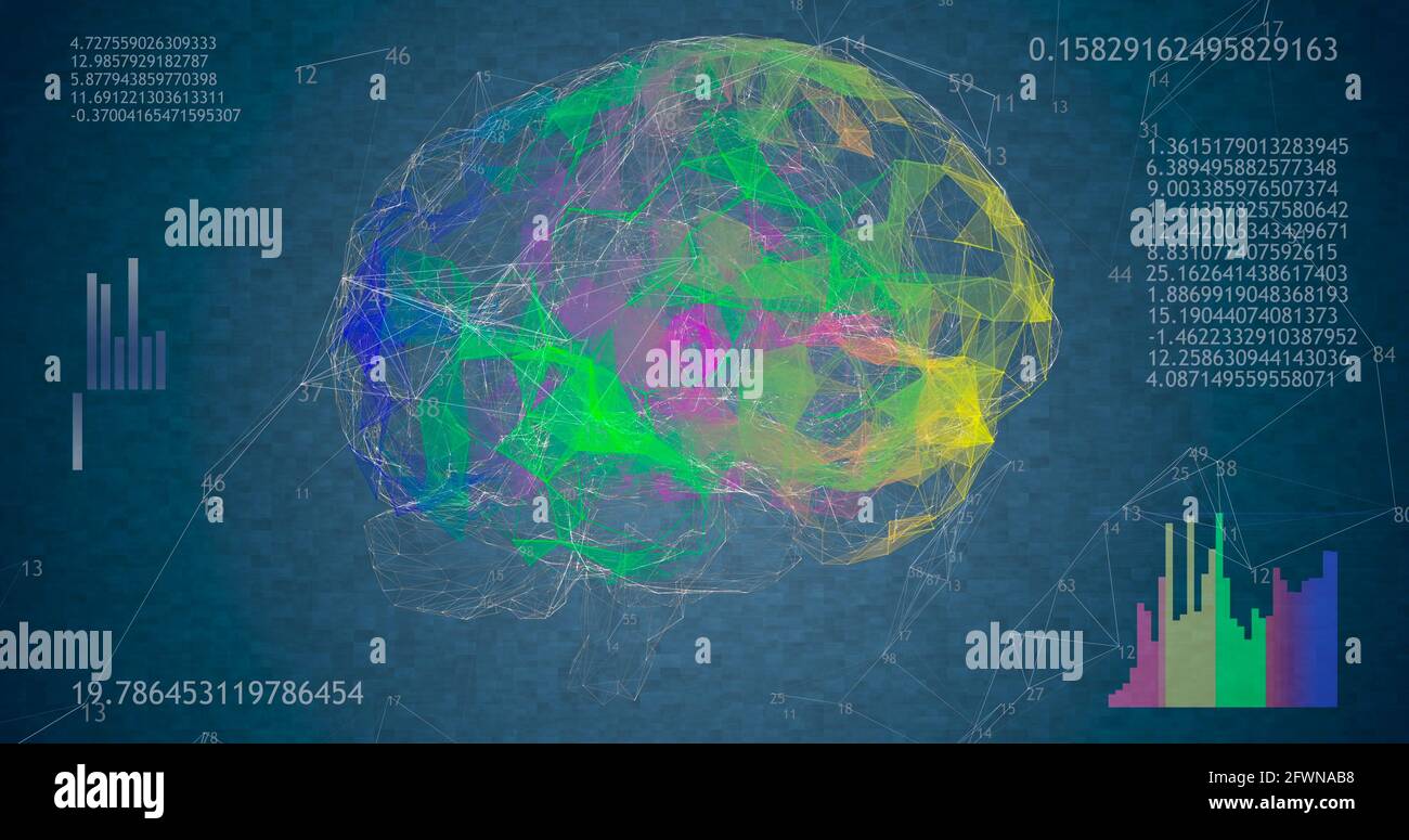 Rotating 360 low polygonal brain 3D model on blue background with ...