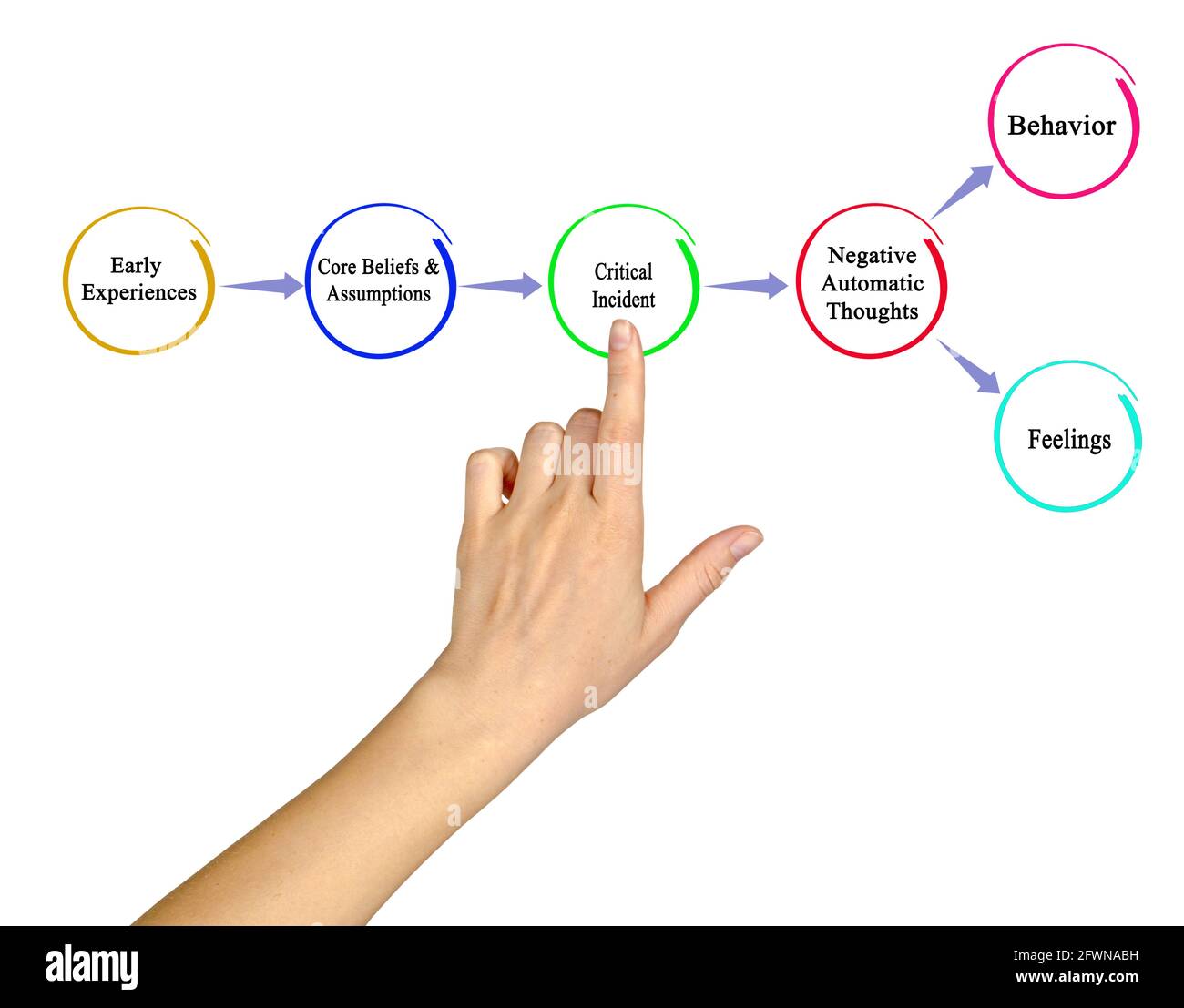 Cognitive Model Hi Res Stock Photography And Images Alamy