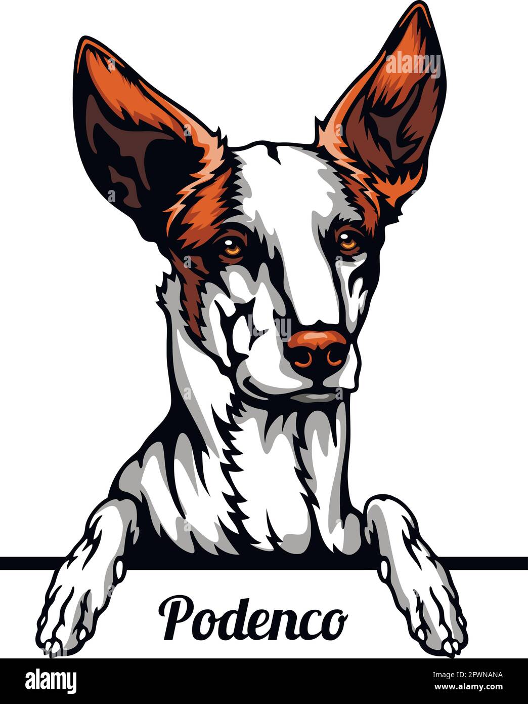 Podenco dog Stock Vector Images - Alamy