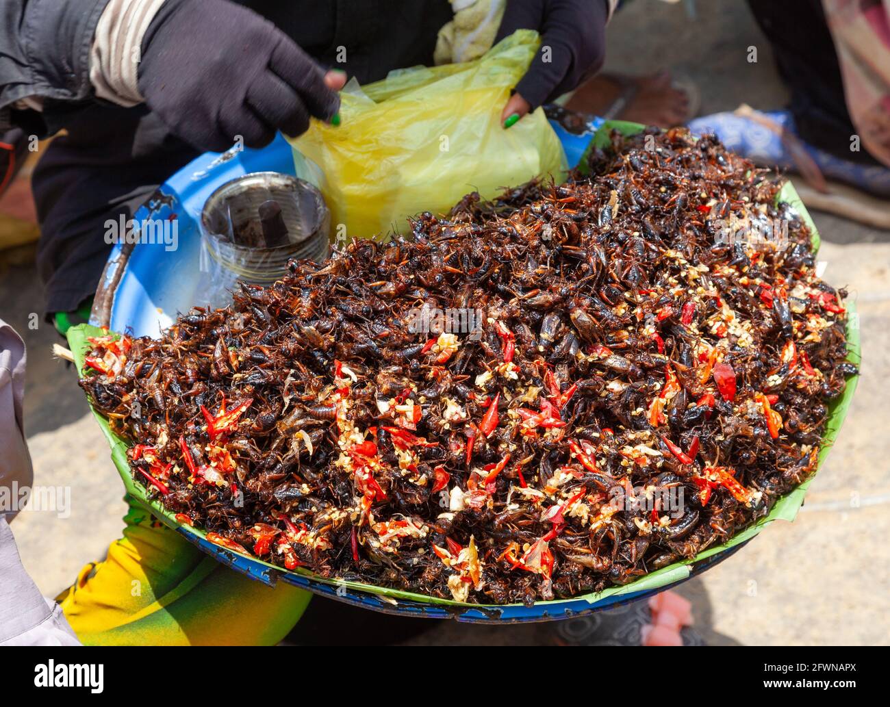 Food insects hi-res stock photography and images - Alamy