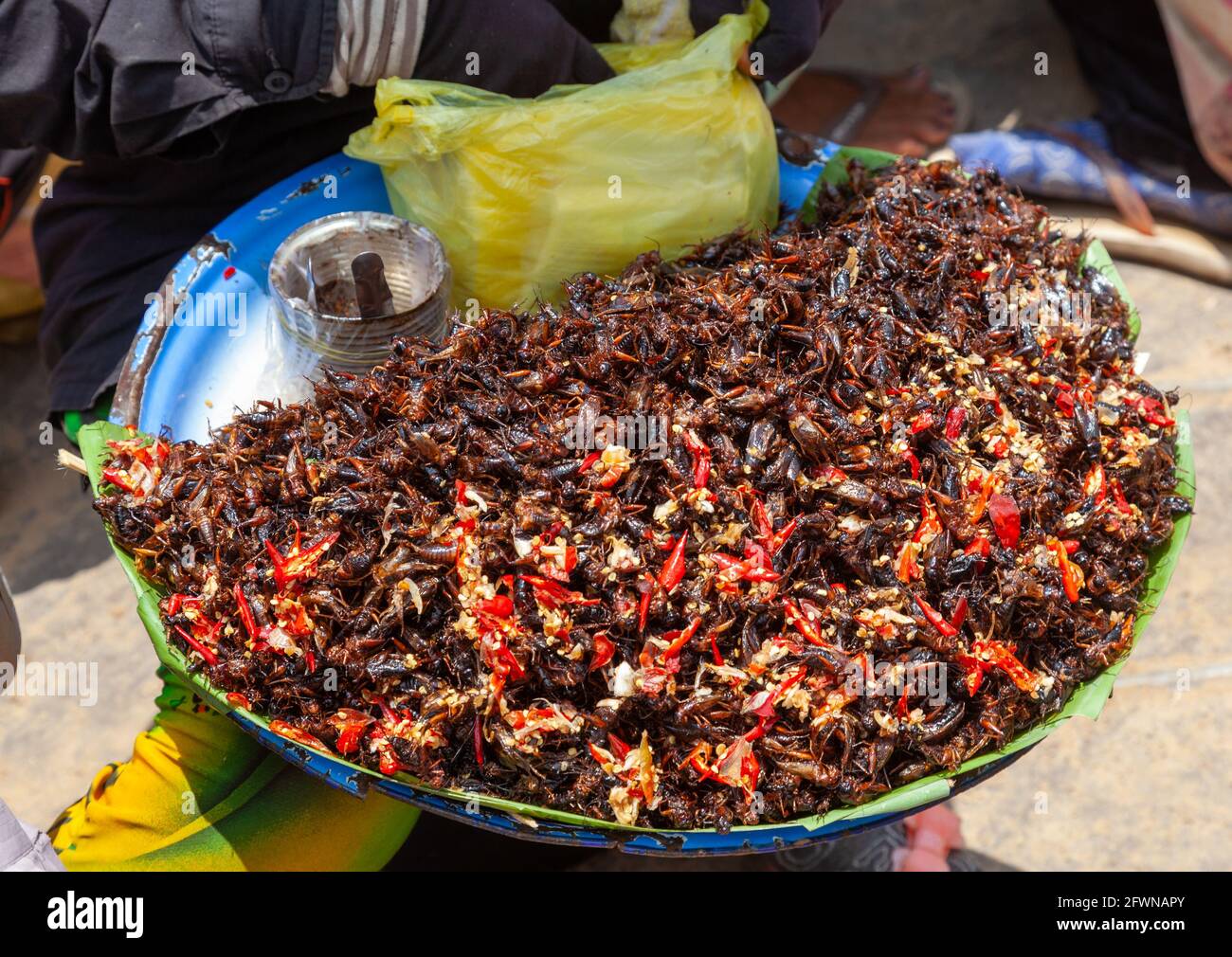 Vietnam delicacy insects Stock Photo - Alamy