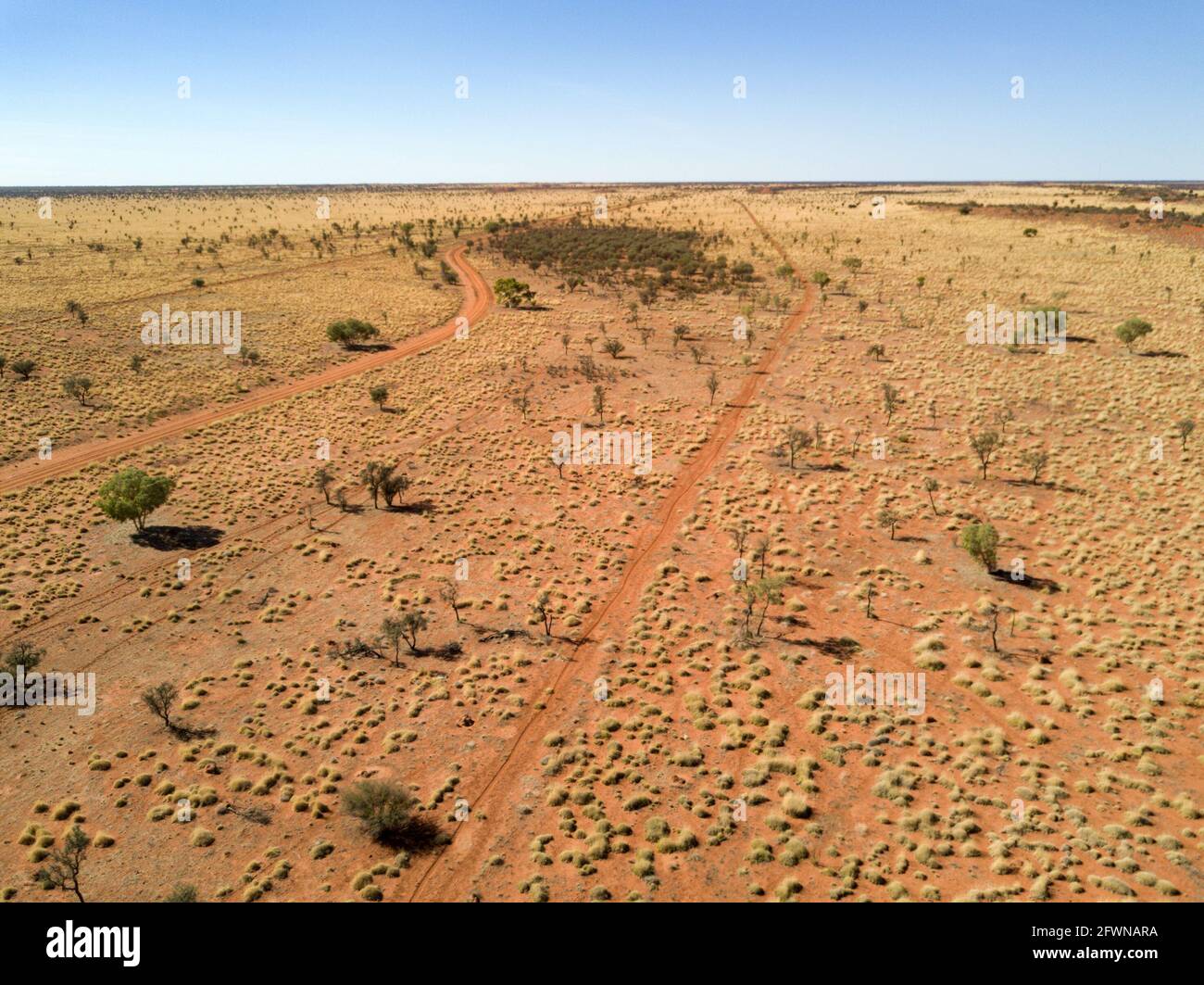 Riversleigh fossil hi-res stock photography and images - Alamy