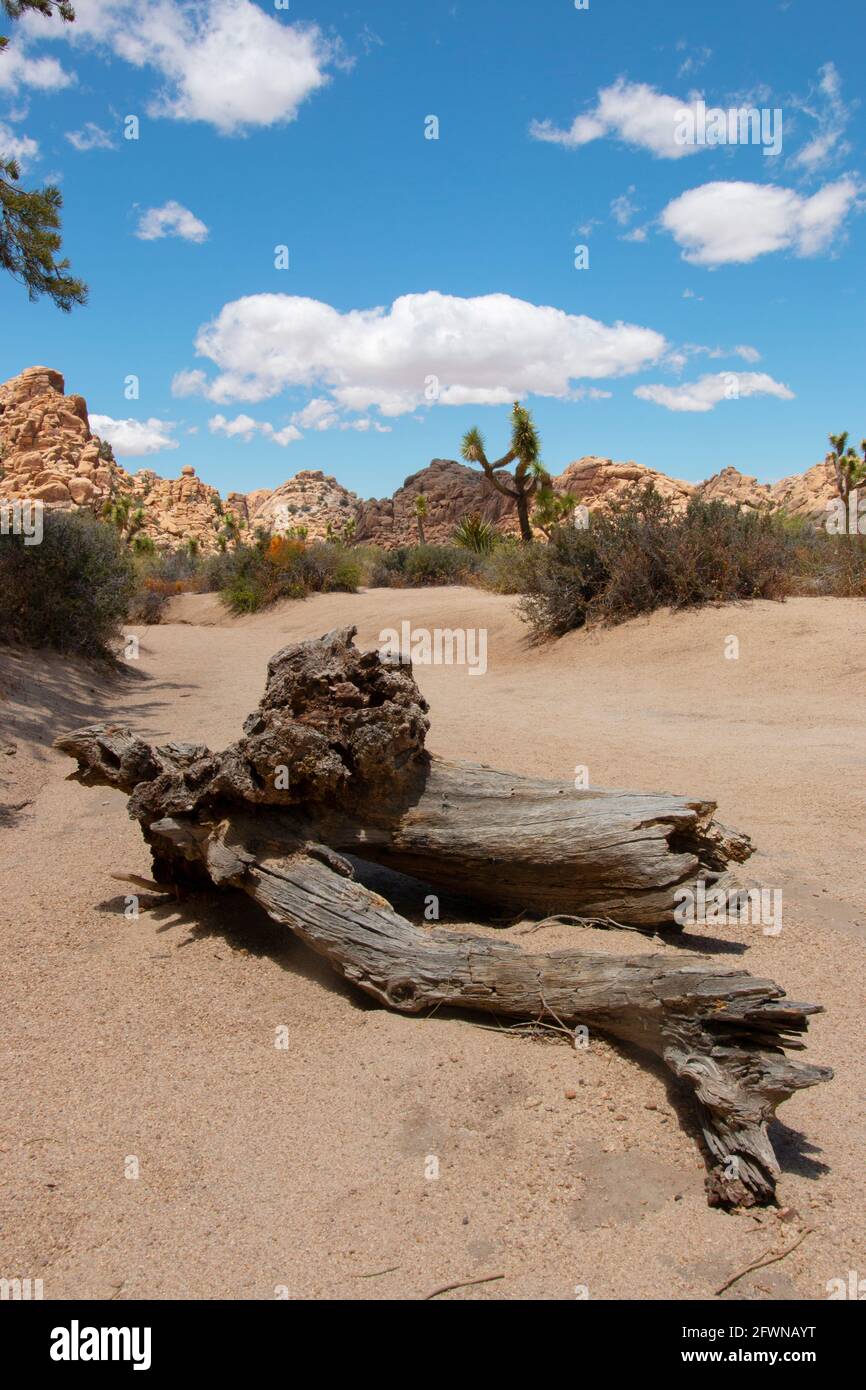 Wilderness national park hi-res stock photography and images - Alamy