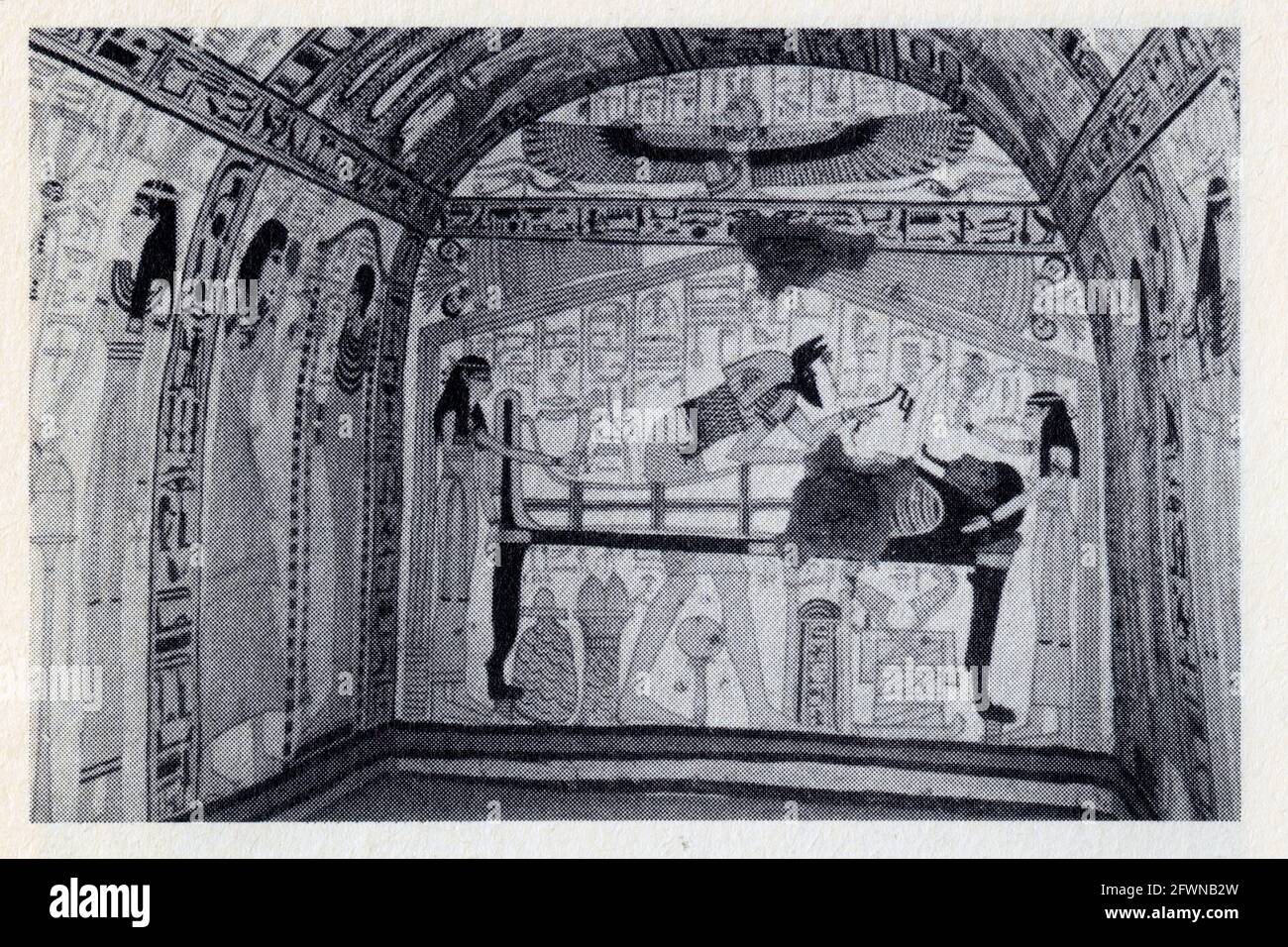 The apis bull hi-res stock photography and images - Alamy