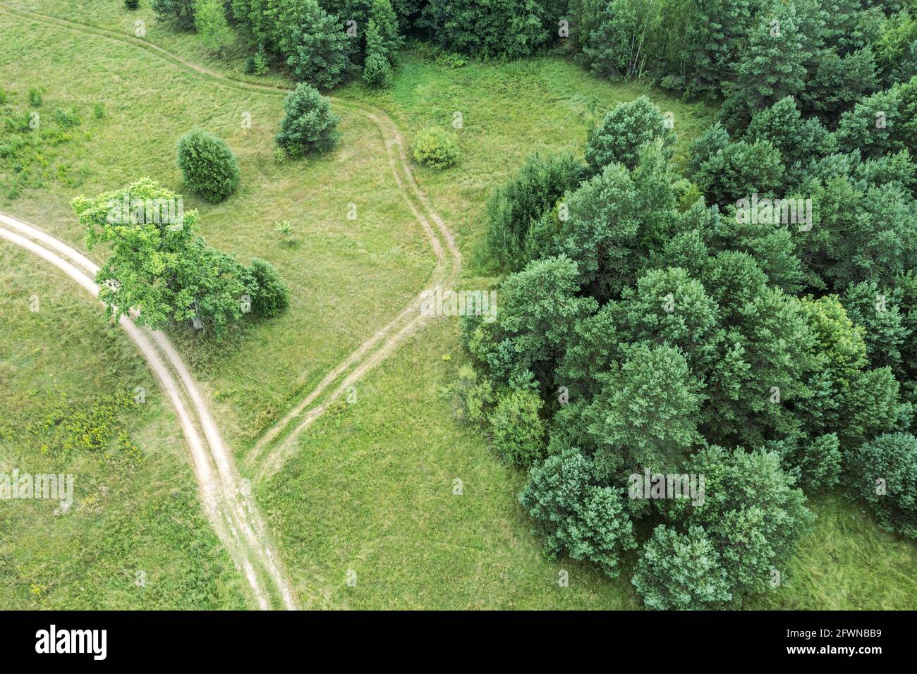 Green forest field nature hi-res stock photography and images - Alamy