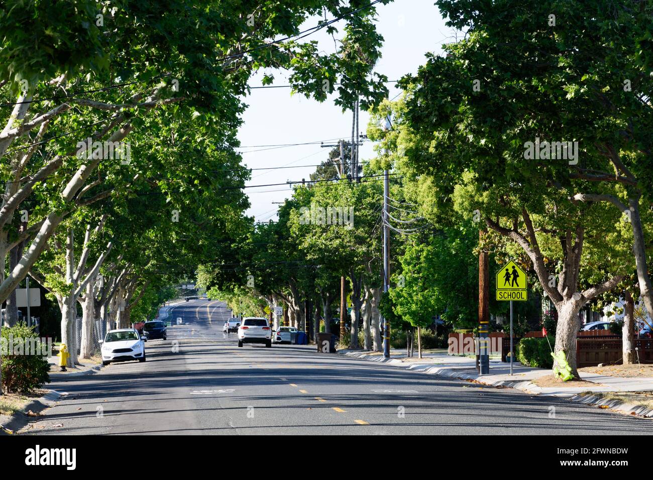 Tree lined street in residential neighborhood with cars parked in front ...