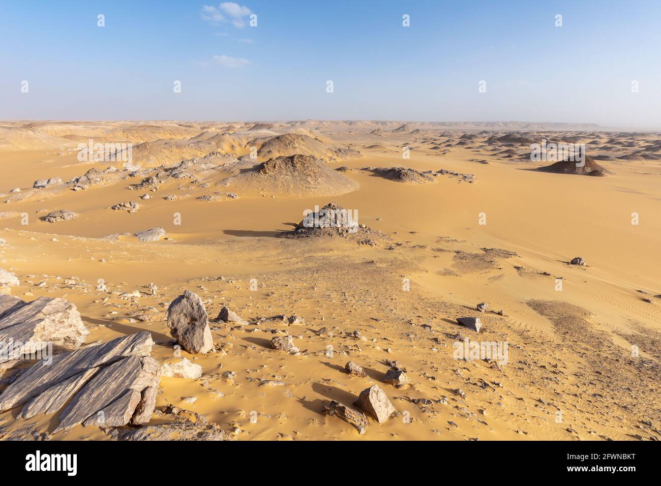 Hard desert earth hi-res stock photography and images - Alamy