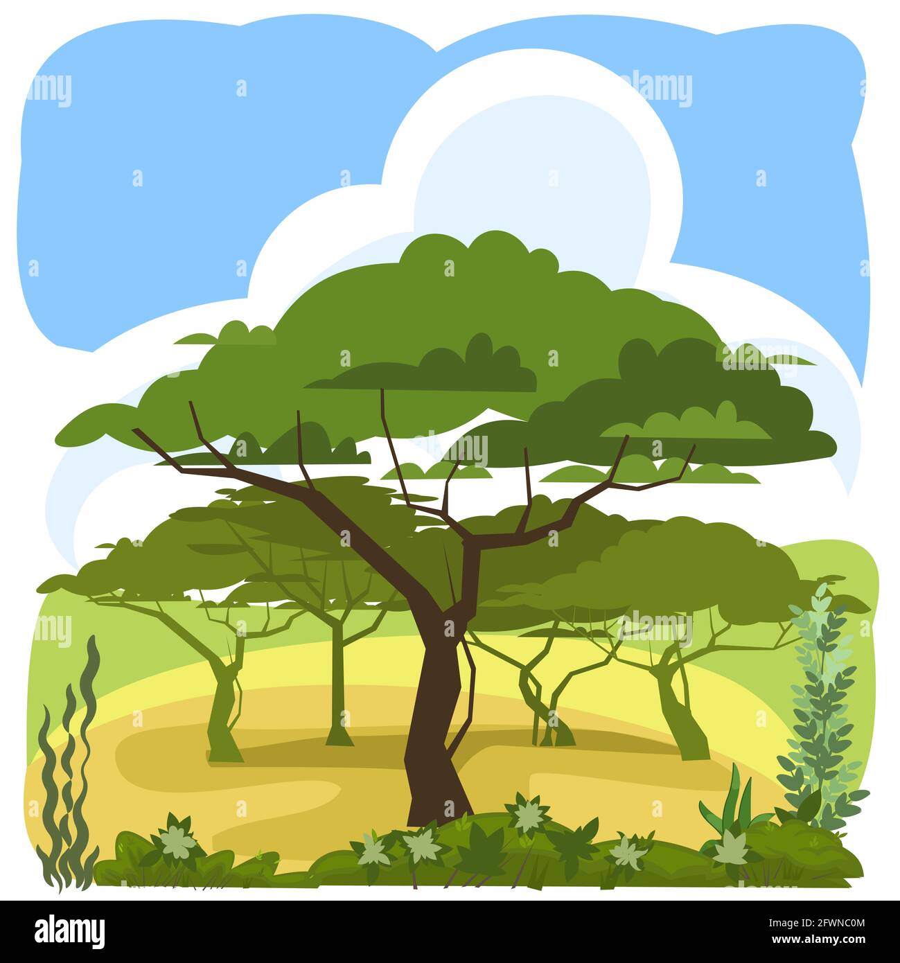 Acacia. Green rural landscape with trees. Flat cartoon style. The ...