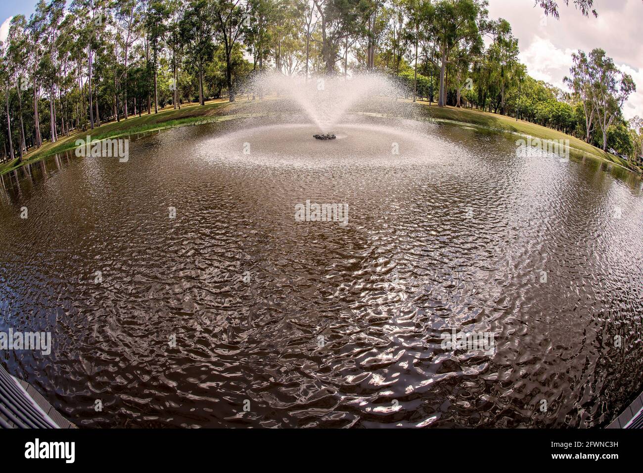 Fountain in a park with tall trees, used as a tourist rest stop ...