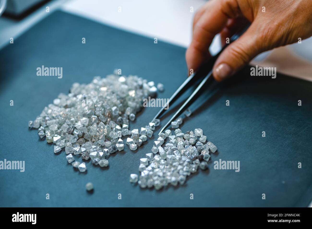 Manual sorting of diamonds. A hand with tweezers transfers diamonds ...