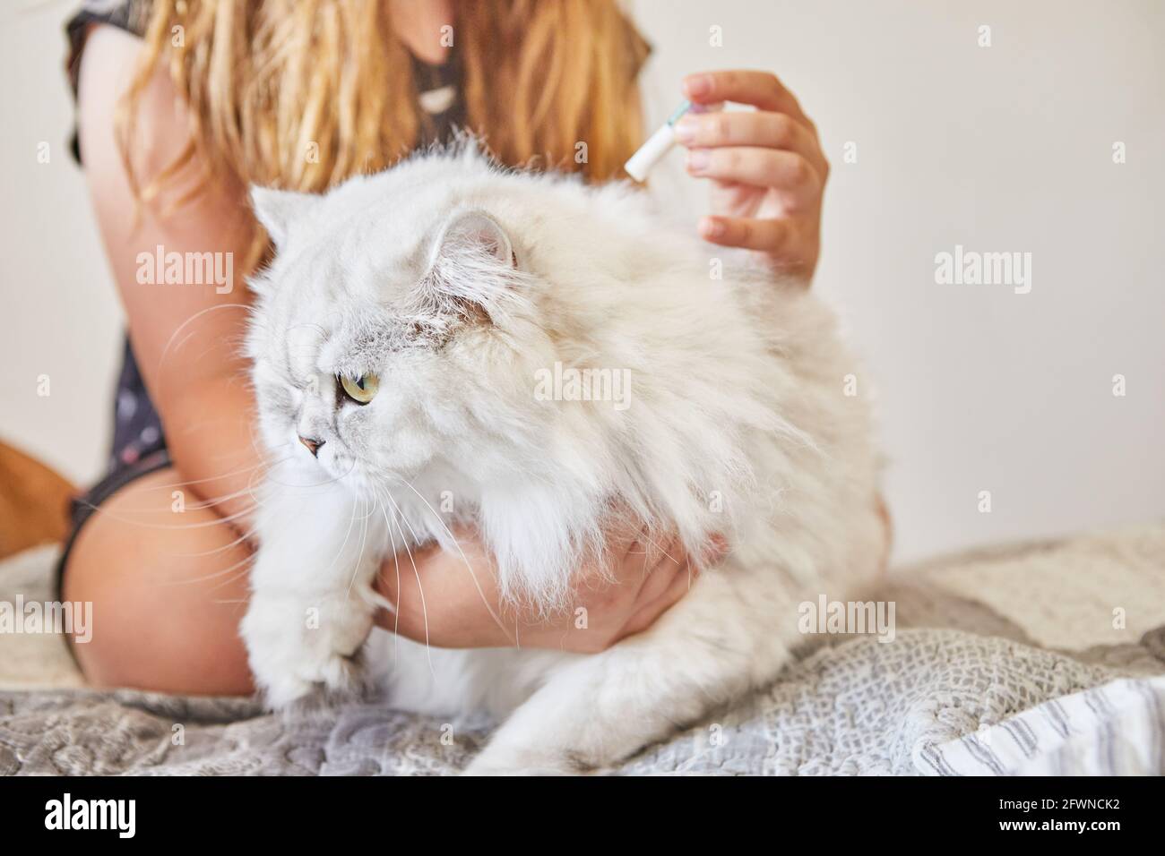 Drops Dripping High Resolution Stock Photography and Images - Alamy