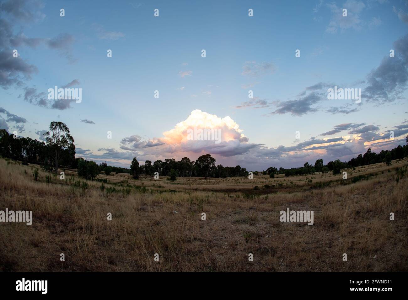 Sun lighting the clouds just before setting on the Australian bush ...