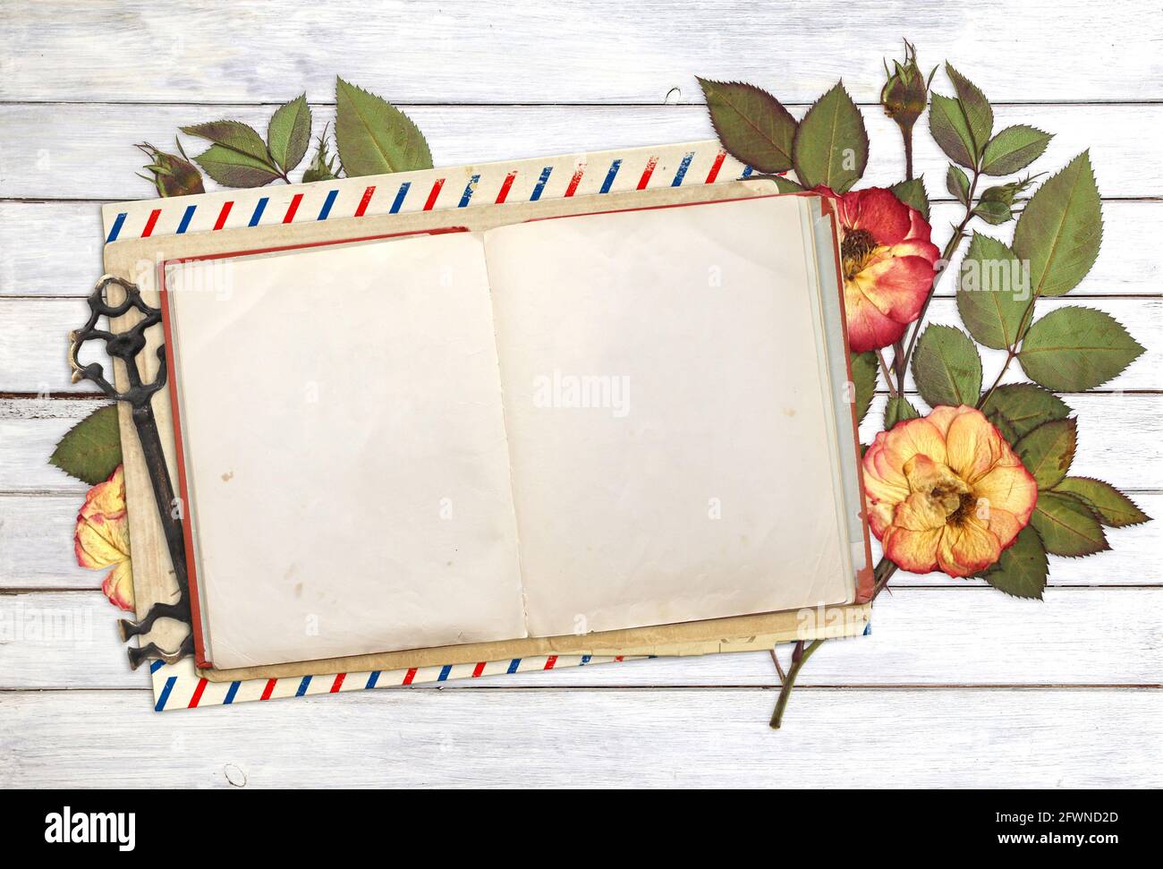 Vintage Open Book Template