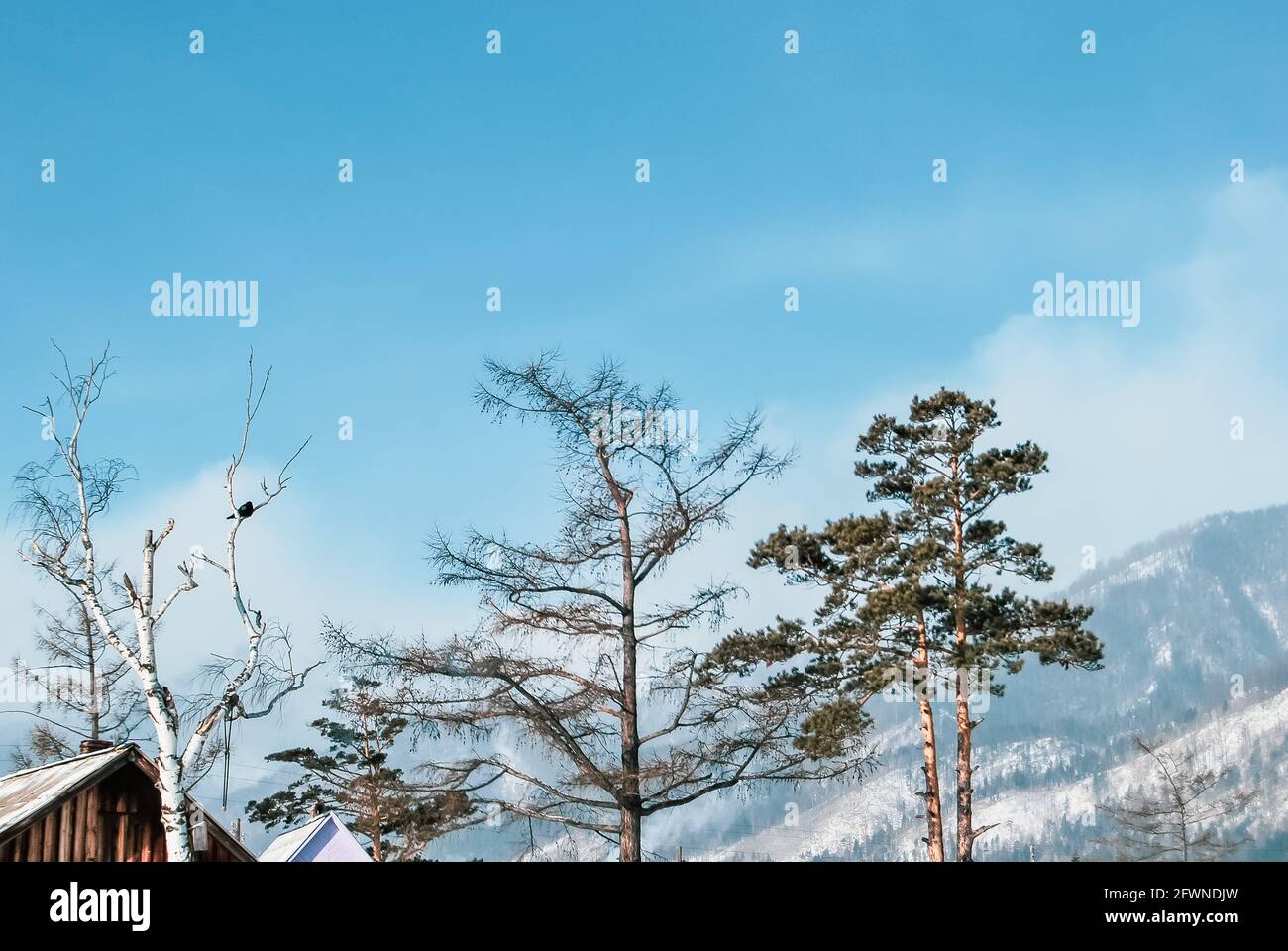 Outdoor natural landscape hi-res stock photography and images - Alamy