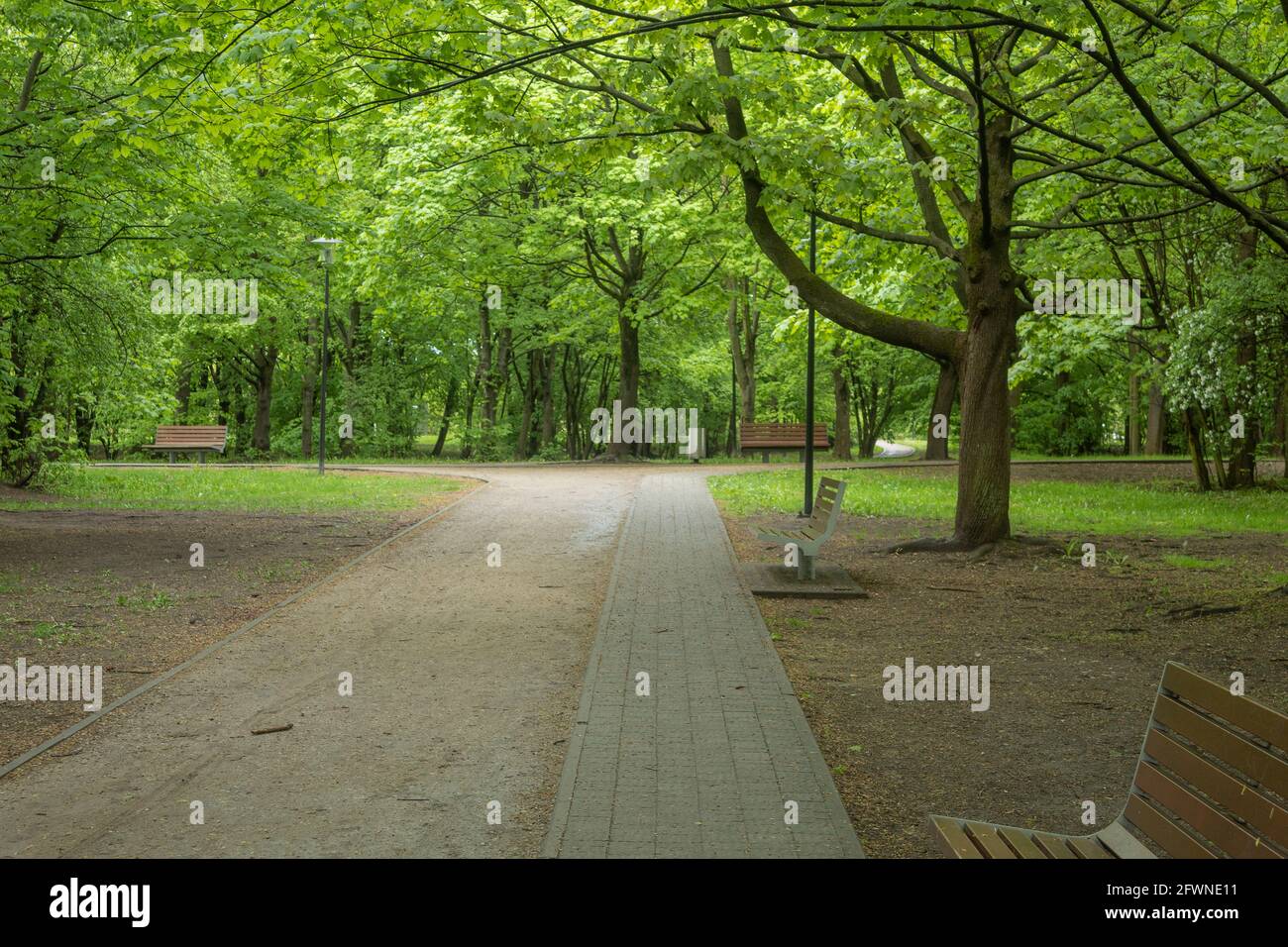 A cobbled path in a city park made of stones. Stone paved road in green ...