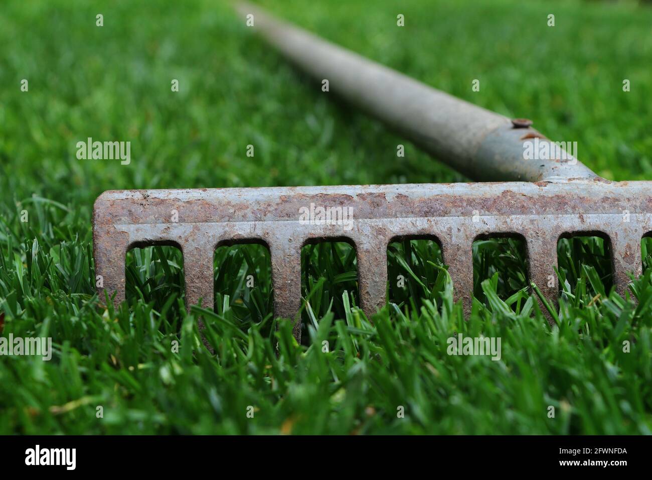 Tranquil rake hi-res stock photography and images - Alamy